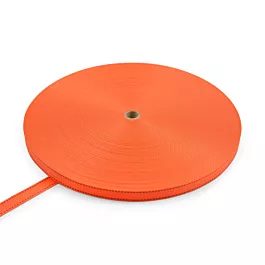 Polyester band - 25mm - 1200kg - Rol - 100m - 2 strepen | Metaltis